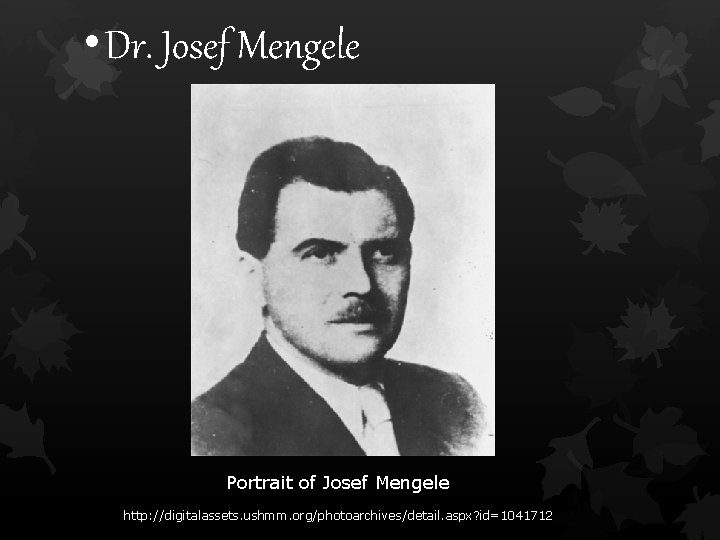 A Dictionary That Enlarges Your Holocaust Vocabulary A