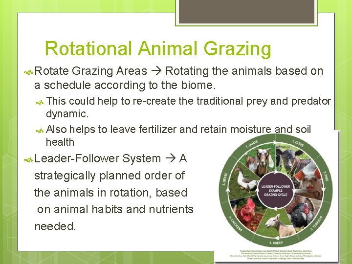 The Perks of Permaculture By Lara Duffy What