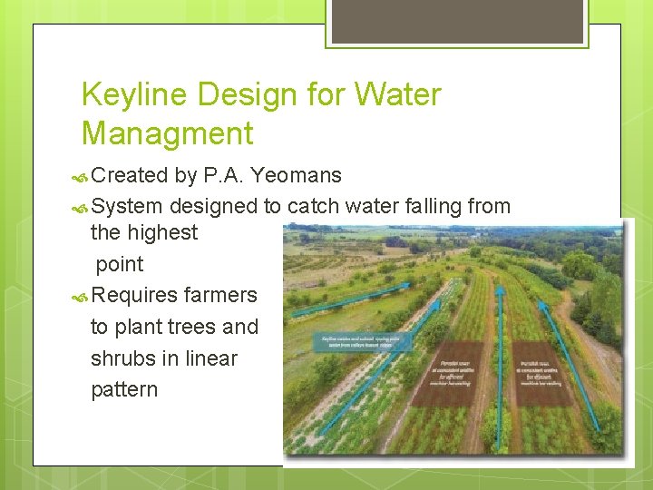 The Perks of Permaculture By Lara Duffy What