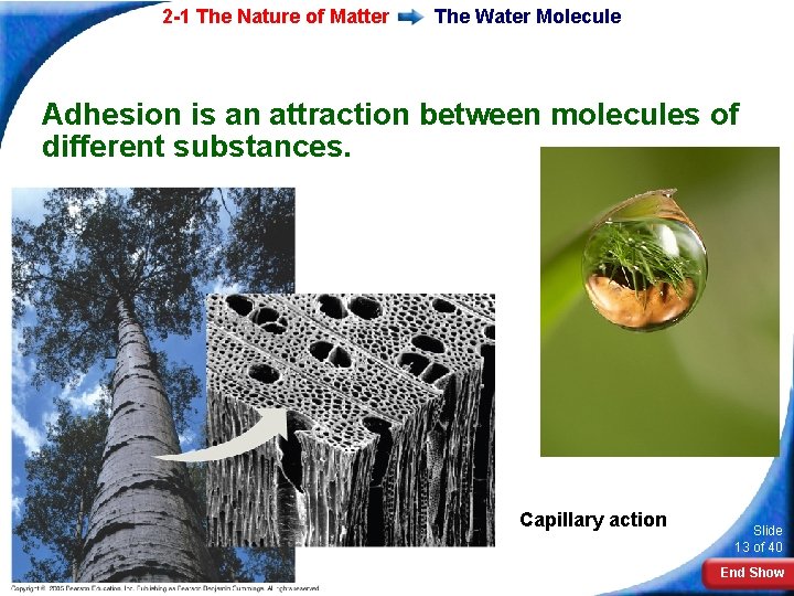 2 1 The Nature of Matter Biochemistry Notes