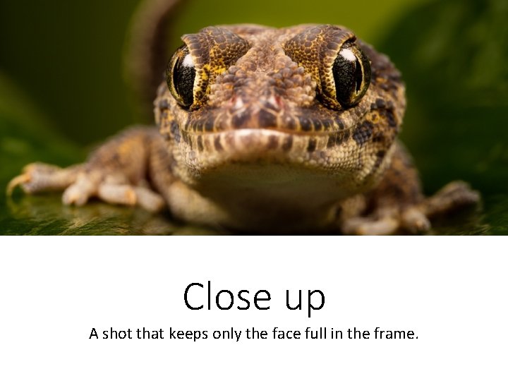 Camera Shots and Angles How to analyse camera