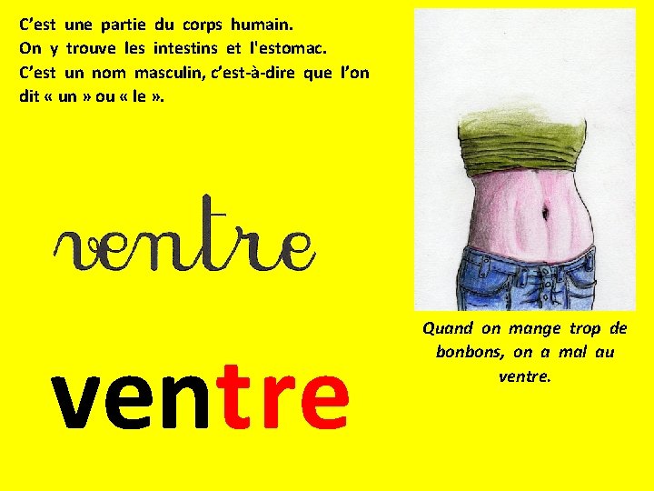 2 mots par jour Le corps humain Apprendre