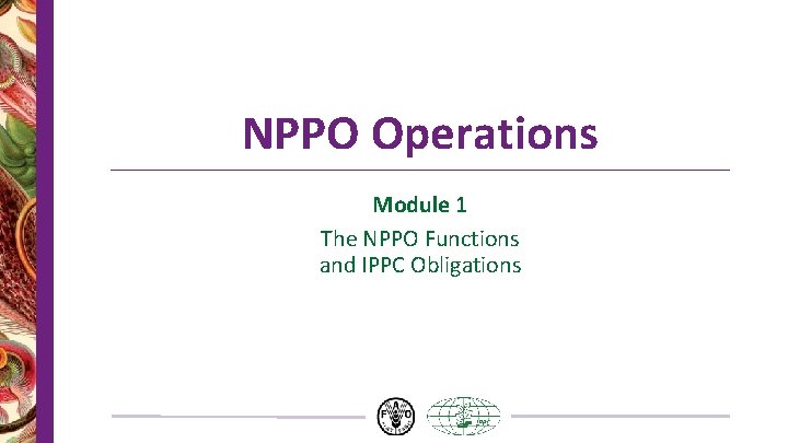 NPPO Operations Module 1 The NPPO Functions and