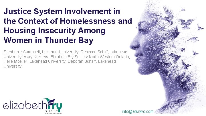 Justice System Involvement in the Context of Homelessness