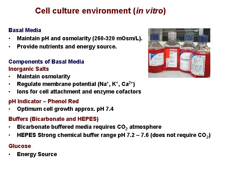 Cell Cultures Their types and preparation Isolation of