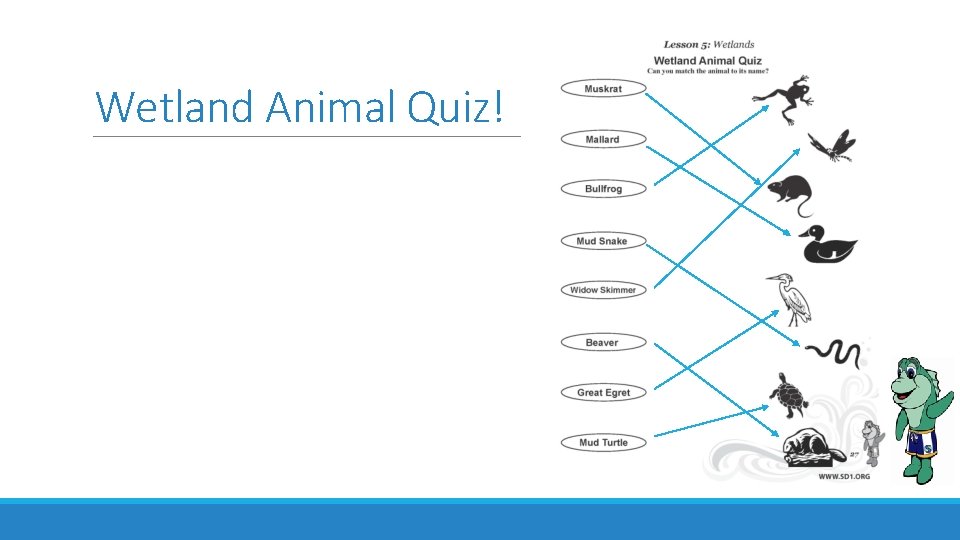 Lesson 5 Wetlands SD 1 ENVIRONMENTAL UNIT What