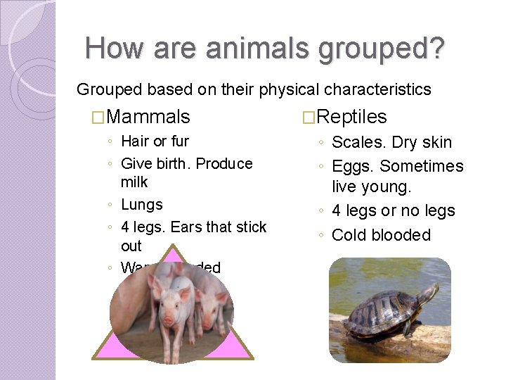 Objectives Students will identify the basic need of