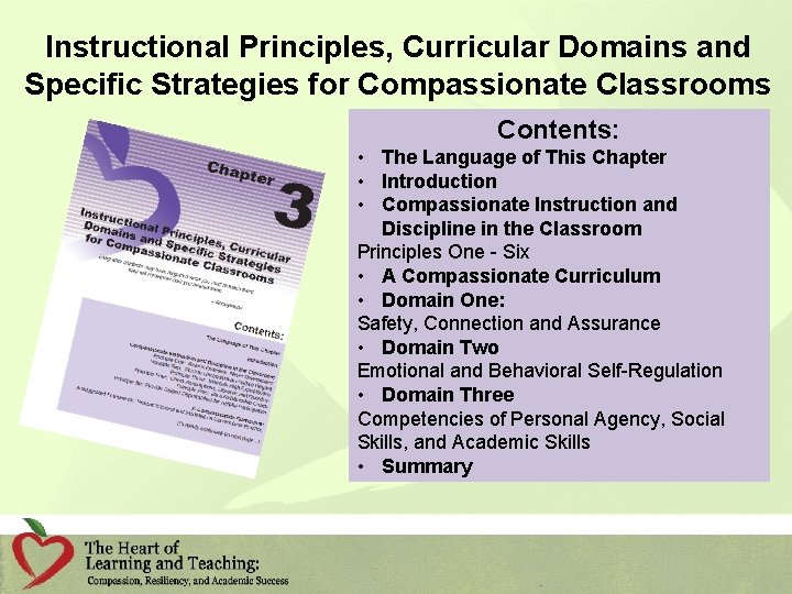 Instructional Principles Curricular Domains and Specific Strategies for
