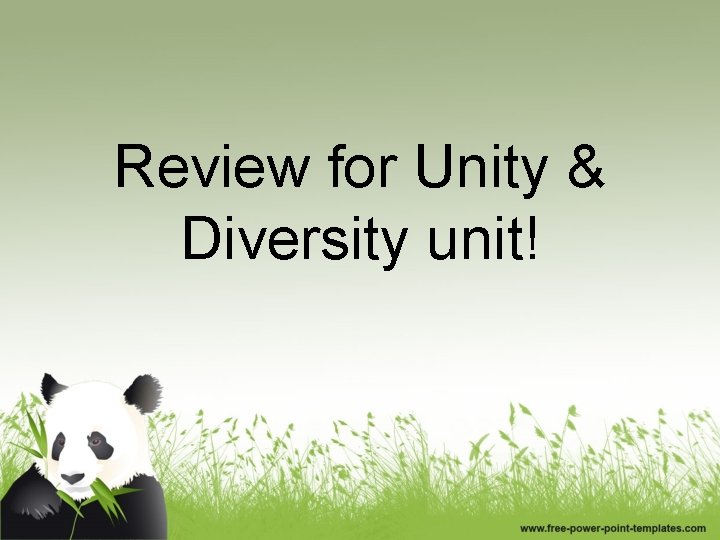 Review for Unity Diversity unit NOTES CLASSIFICATION 1