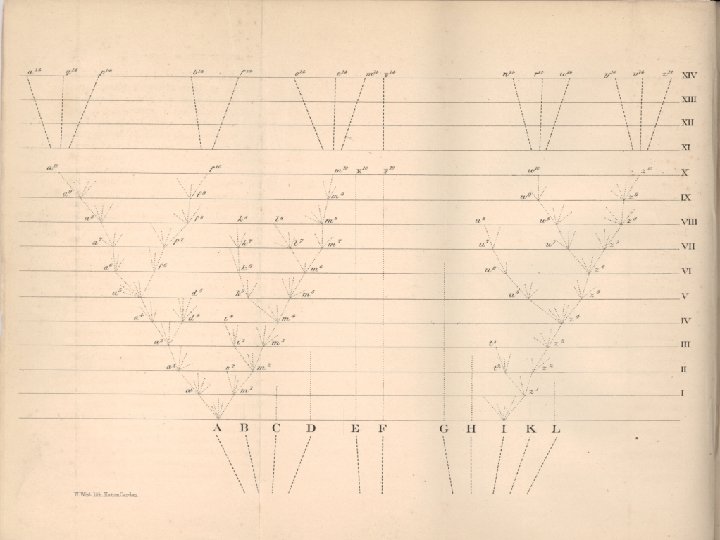 La distinction patternprocess estelle applicable Darwin Jean Gayon
