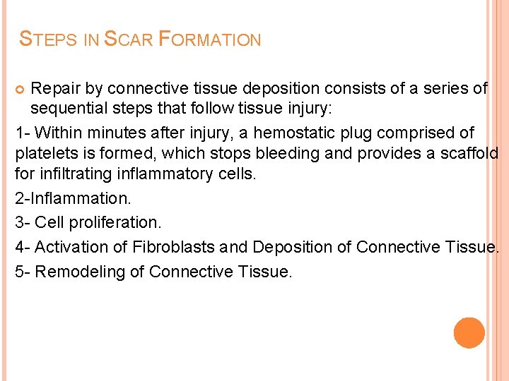 Healing and Repair Lecture 2 Dr Bushra AlTarawneh
