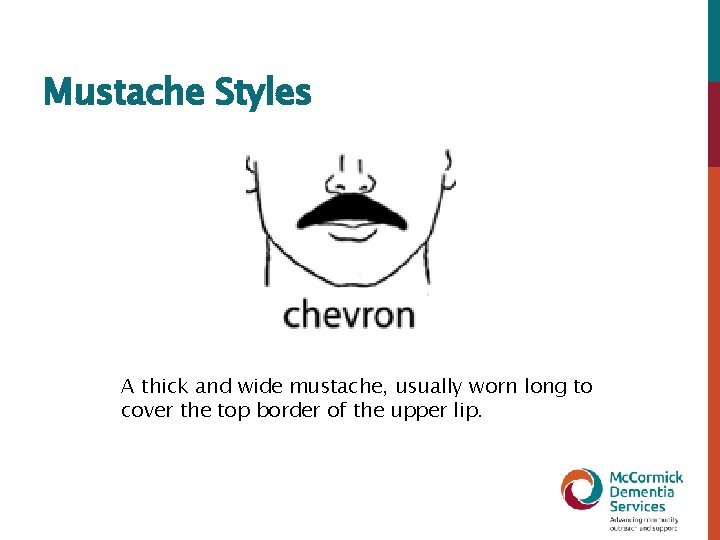 All About the Mustache All About the Mustache