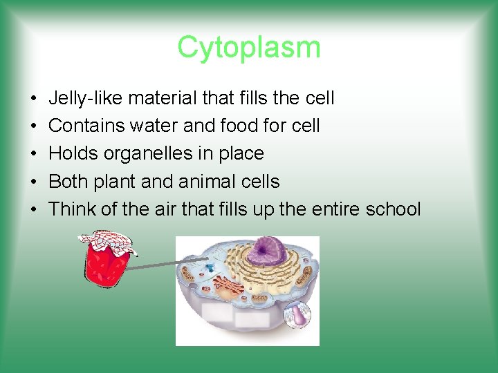 Cells Cells are the basic building block of