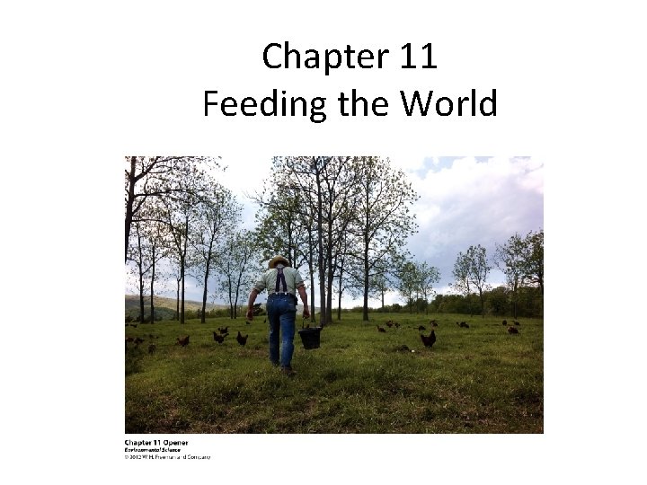 Chapter 11 Feeding the World Farm Where Animals