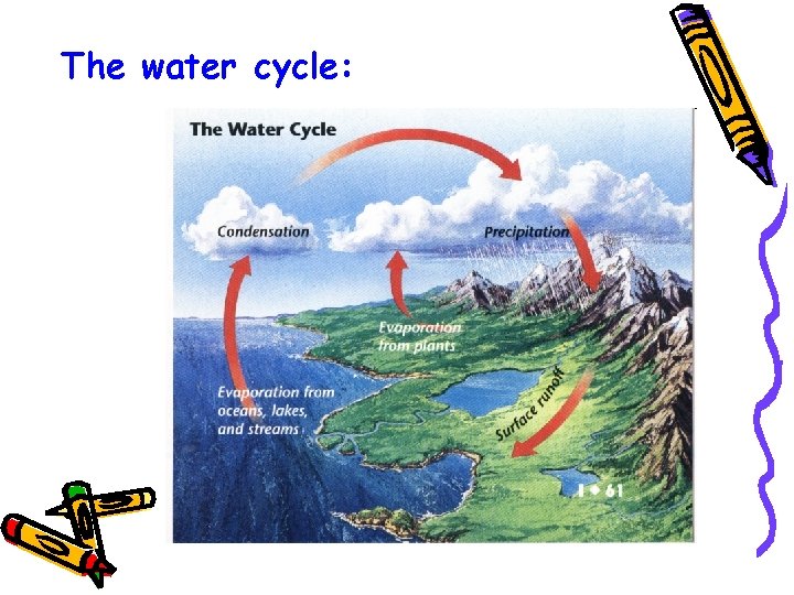 Water Properties The water cycle Purification of water