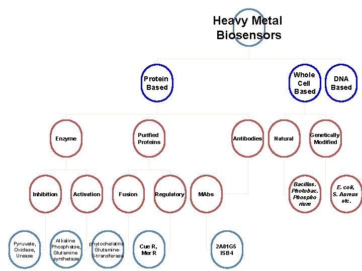 Biosensors for Heavy metals Pesticides Aflatoxin Dr Hardeep