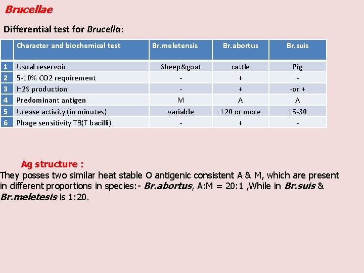 Brucellosis A zoonosis Brucellae Differential test for Brucella
