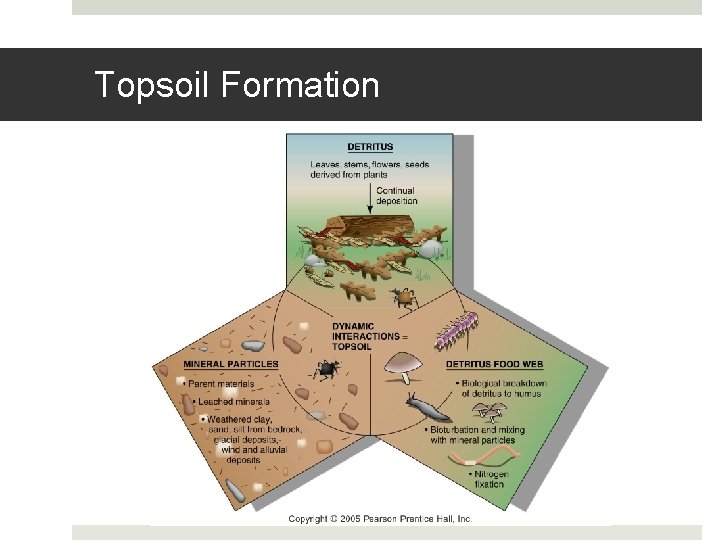 Soils Foundation for Land Ecosystems Global Trend Where