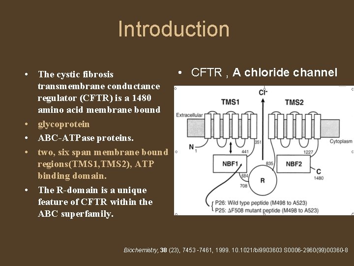 Introduction CFTR A chloride channel The cystic fibrosis