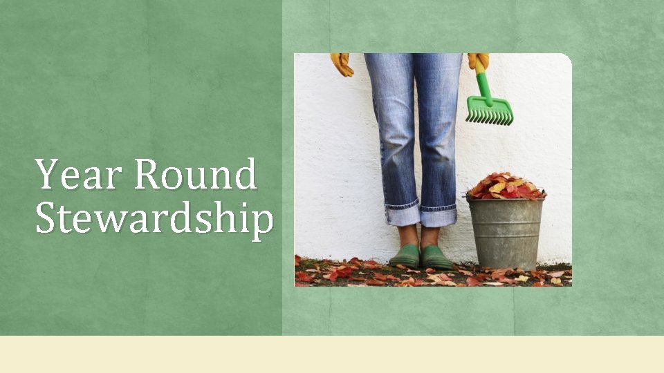 Year Round Stewardship Why Year Round Stewardship Stewardship