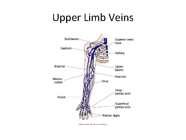 Lymphography and Venography 2012 Venous Circulation What is