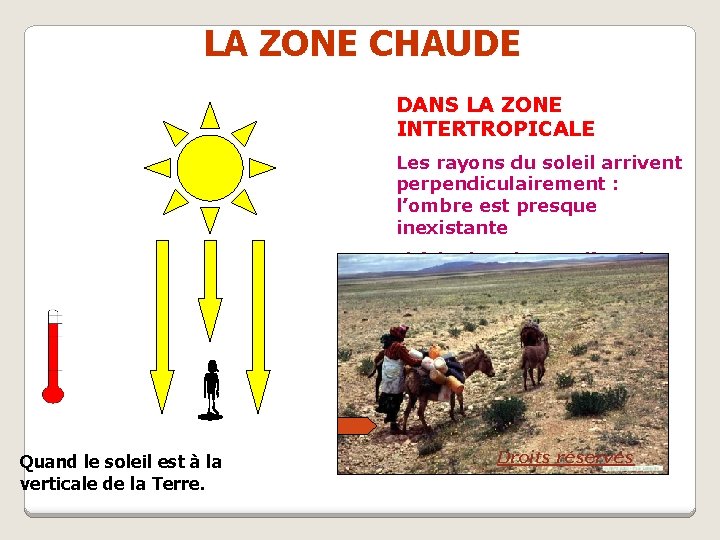 Les grands domaines bioclimatiques et les paysages peupls