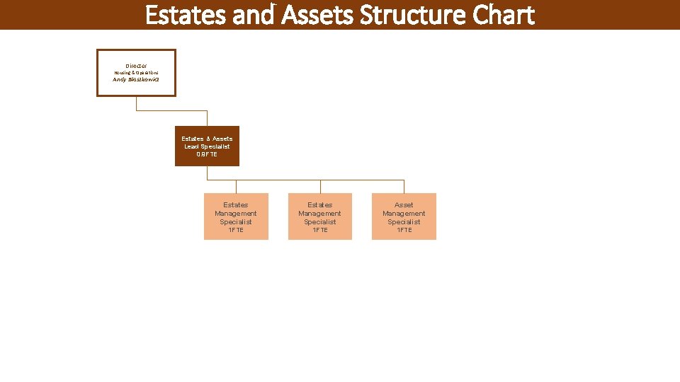 Housing Assets Development Structure Chart 0110 Director Housing
