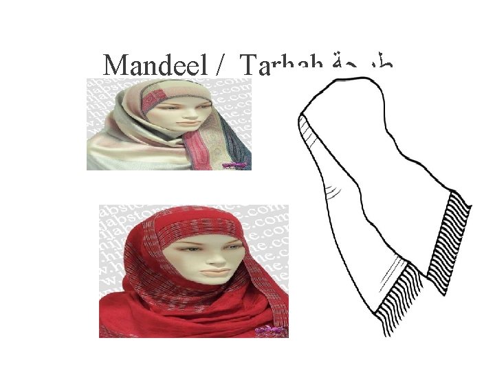 Lesson 1 Rasha Elomari This lesson was developed