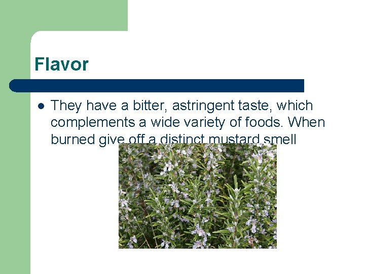 Rosemary By Moses Suarez Region l It is