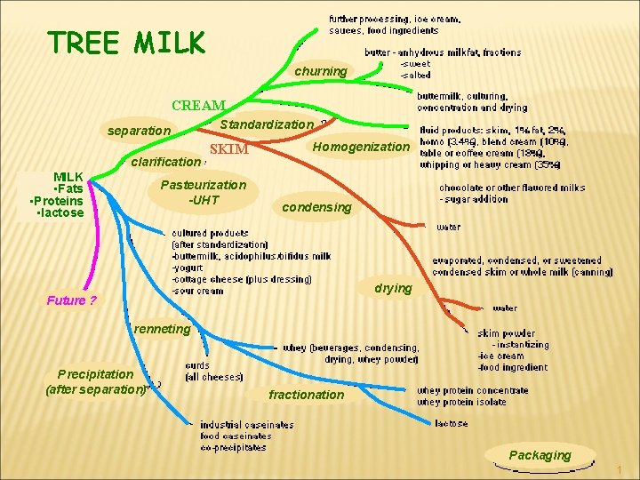 TREE MILK churning CREAM separation clarification MILK Fats