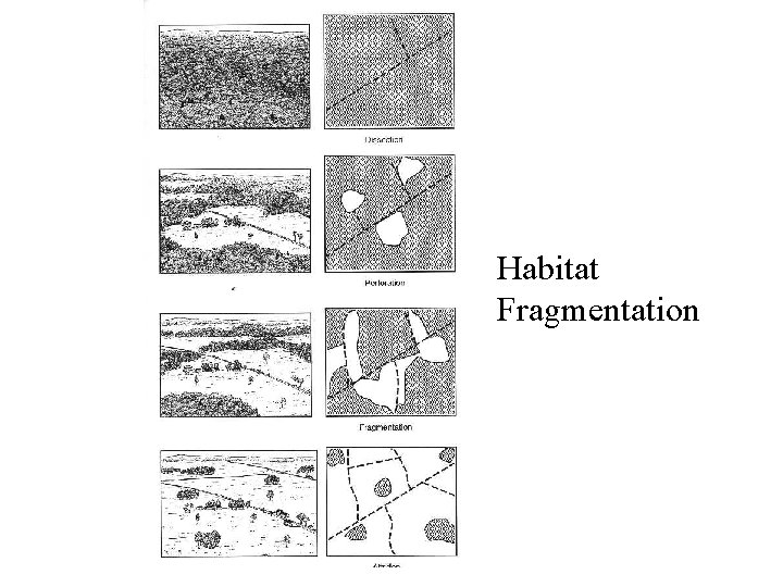 Value of genetic diversity Why are genes valuable