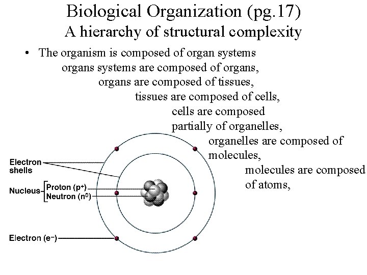 Introduction to Cell Physiology Slides by John R