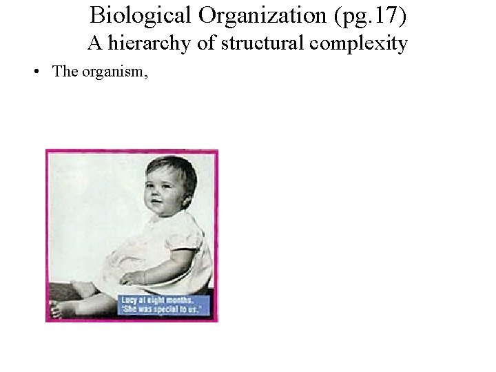 Introduction to Cell Physiology Slides by John R