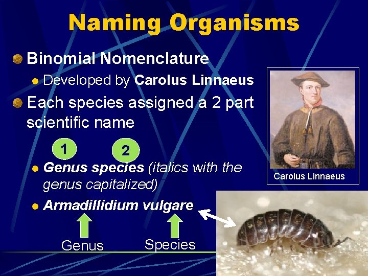 Learning Objectives Know why scientists had to develop