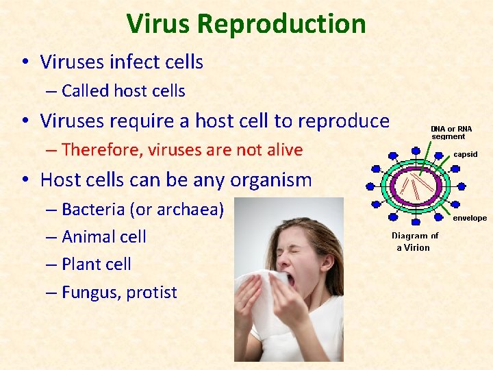 Membrane Review Questions 1 What is diffusion 2