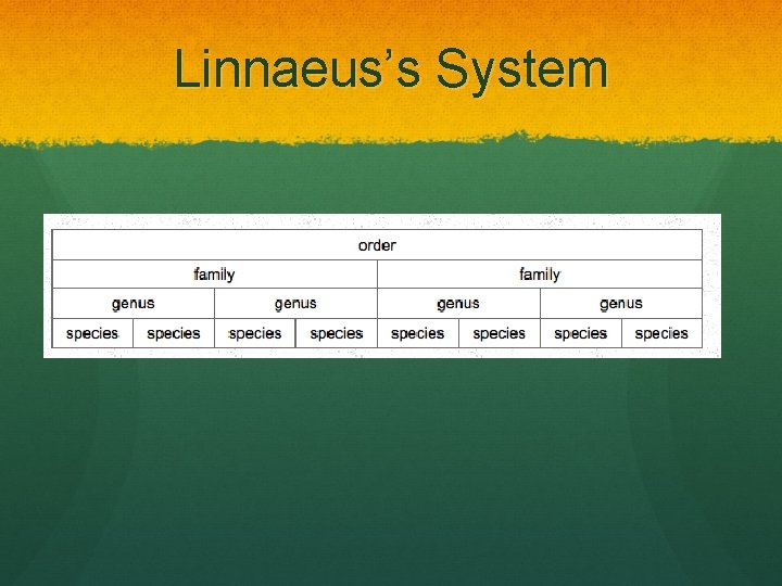 Science 9 Unit A Biological Diversity Lesson 1