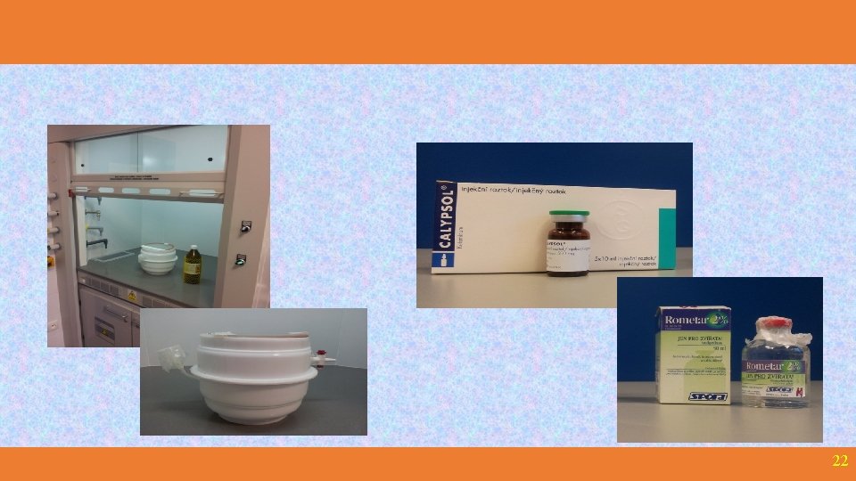 Respiratory system Buckethandle and waterpump handle effects PLEURA