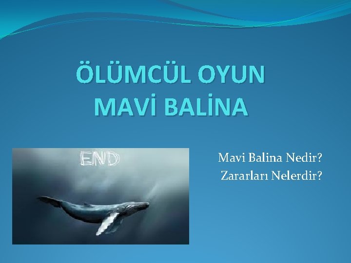 LMCL OYUN MAV BALNA Mavi Balina Nedir Zararlar