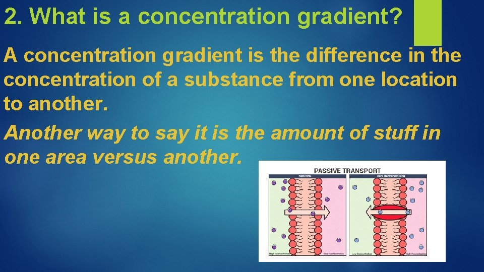 Cell Membrane Transport pg 19 20 SC 912