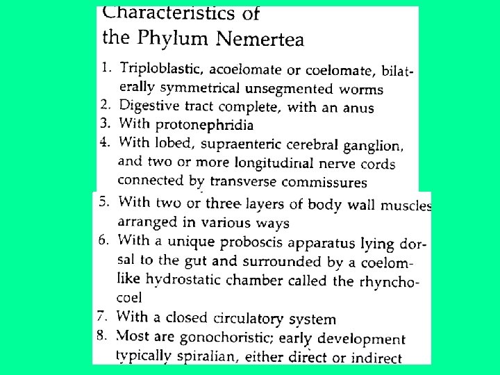 PHYLUM NEMERTEA 900 spp DIVERSIDAD A Tubulanus C