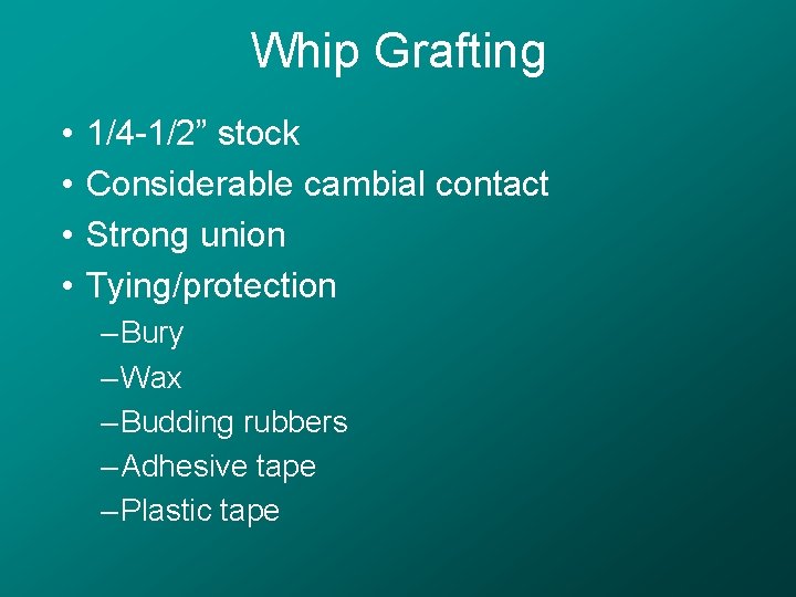 Techniques of Grafting Chapter 12 Rules Rootstock and