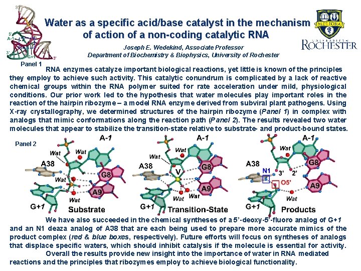 Water as a specific acidbase catalyst in the