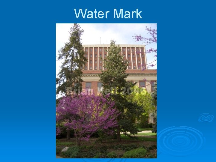 Digital Manipulation Jennifer Burrus Bryce Keogh Carrie Wu