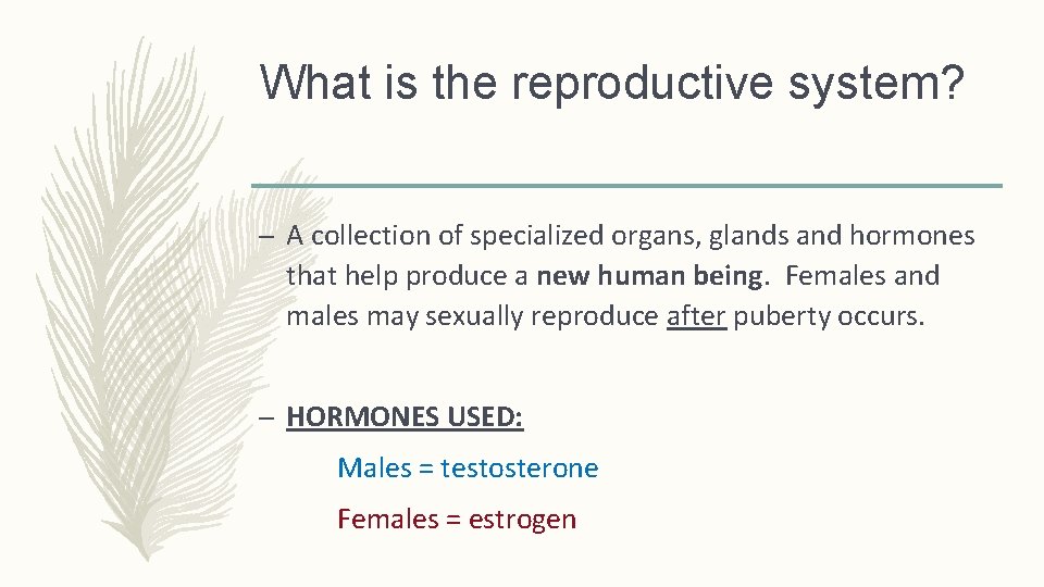 HUMAN REPRODUCTION and DEVELOPMENT Chapo Biology 1 Honors