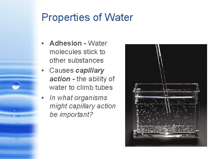 Properties of Water Key Concepts and Vocabulary Key