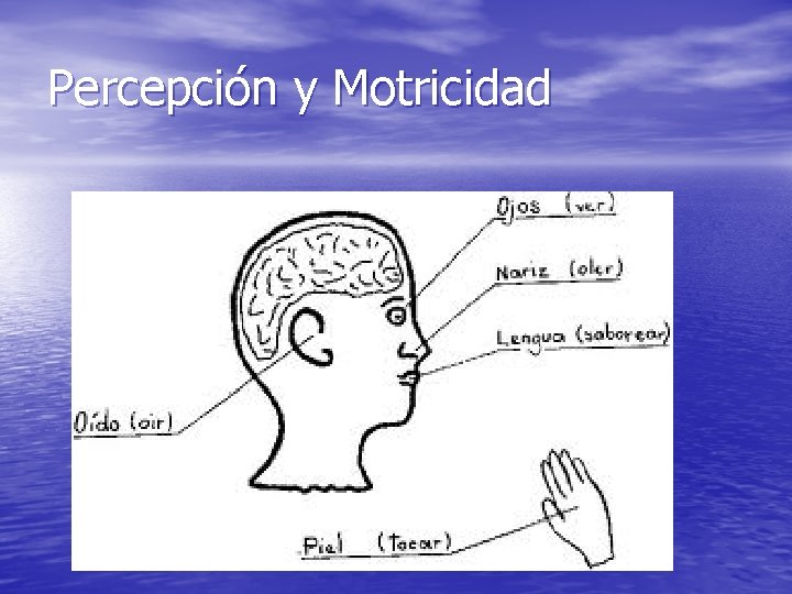 LAS HABILIDADES PERCEPTIVO MOTRICES LILYAN VEGA RAMREZ HABILIDADES