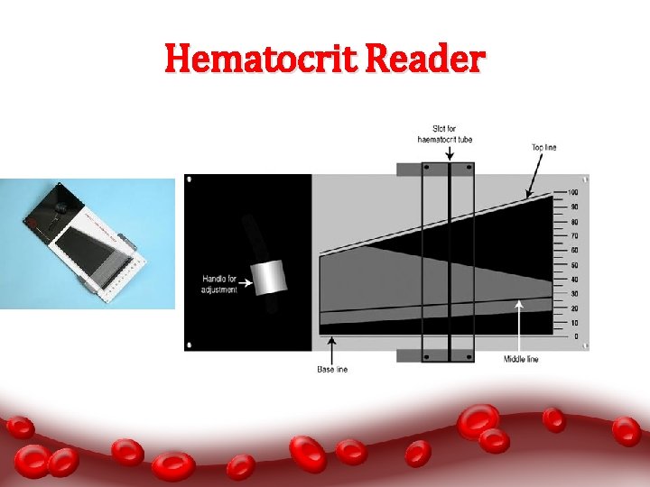 BLOOD PRACTICAL CBC ESR By Dr Ola Mawlana
