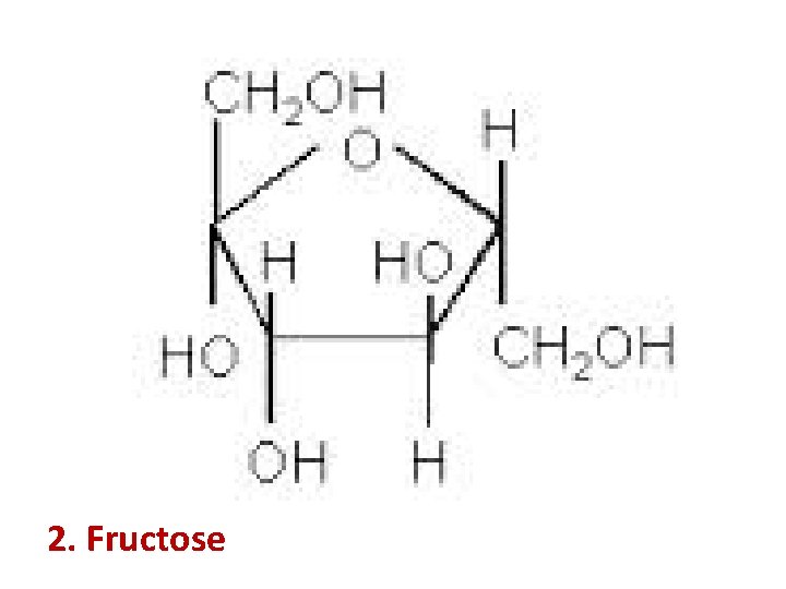 Molecular Models Practice Building Monomers Lab Must get