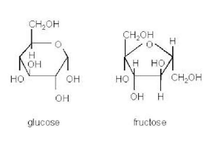 Molecular Models Practice Building Monomers Lab Must get