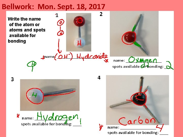 Molecular Models Practice Building Monomers Lab Must get